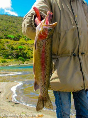 Rutundu: A Rustic Retreat in the Alpine Lakes of Mount Kenya • Nomadic ...