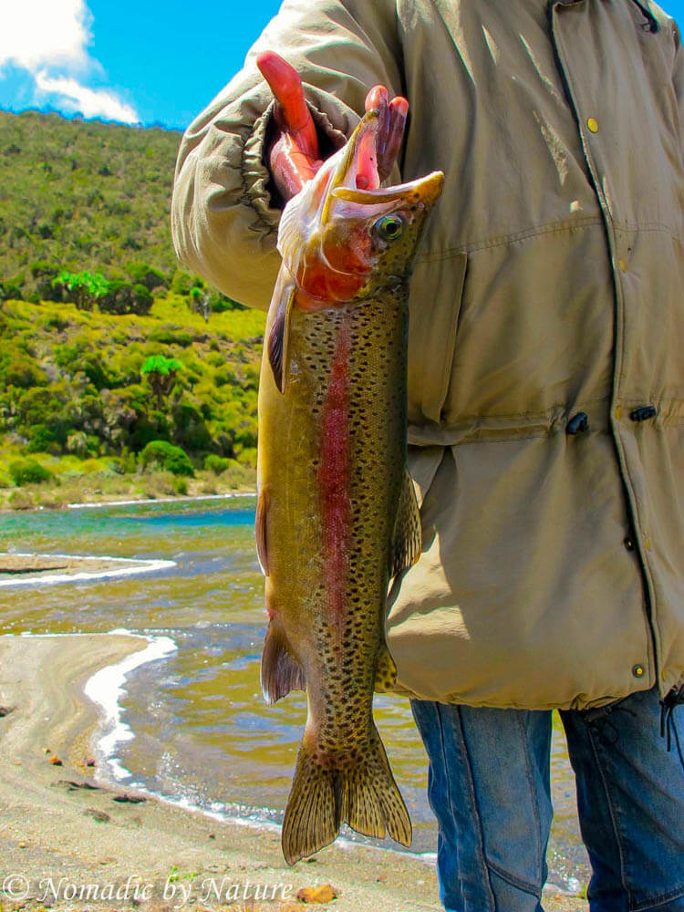 Rutundu: A Rustic Retreat in the Alpine Lakes of Mount Kenya • Nomadic ...