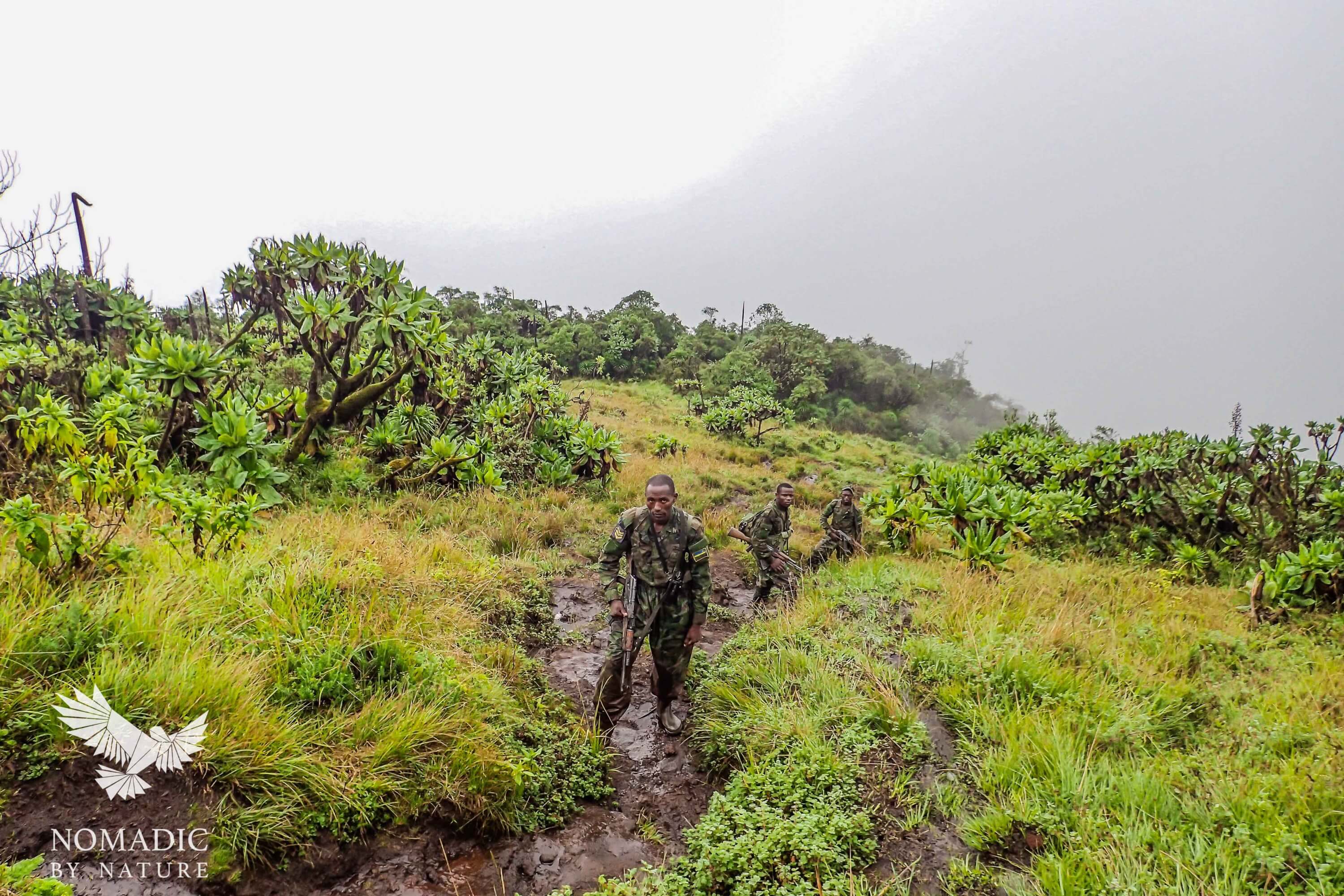 Basic Training on Bisoke Volcano • Nomadic by Nature