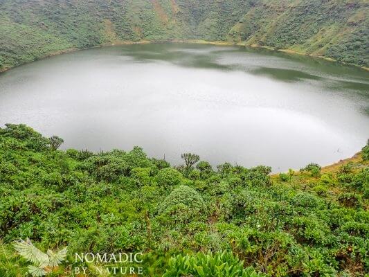 Basic Training on Bisoke Volcano • Nomadic by Nature