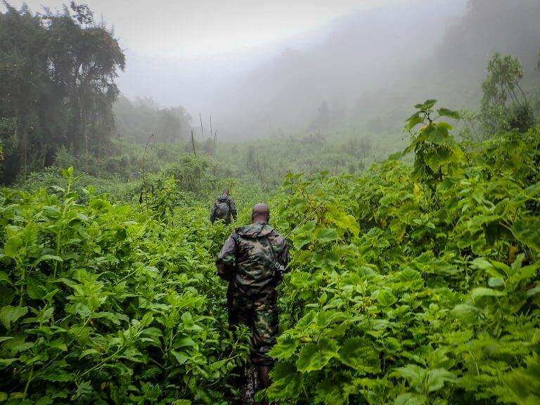 Basic Training on Bisoke Volcano • Nomadic by Nature