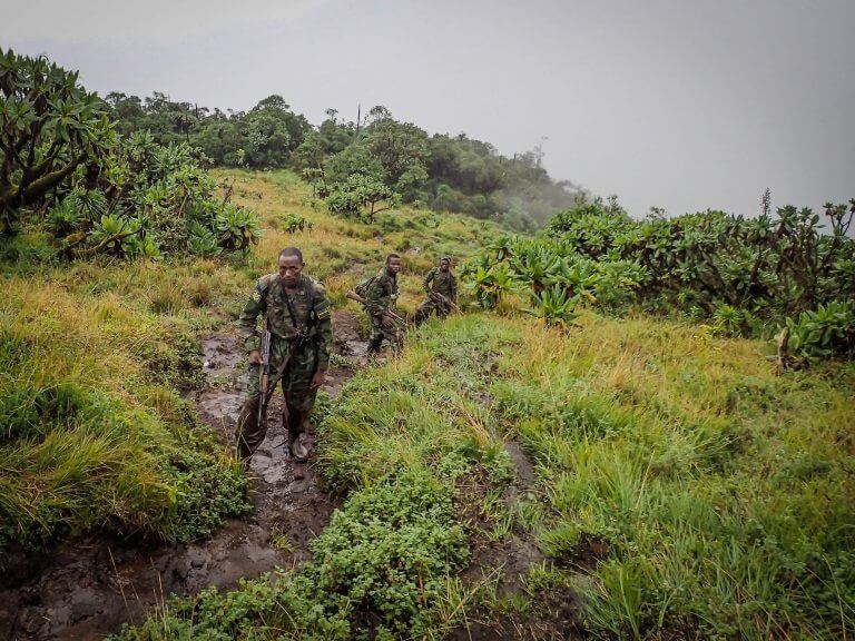 Basic Training on Bisoke Volcano • Nomadic by Nature