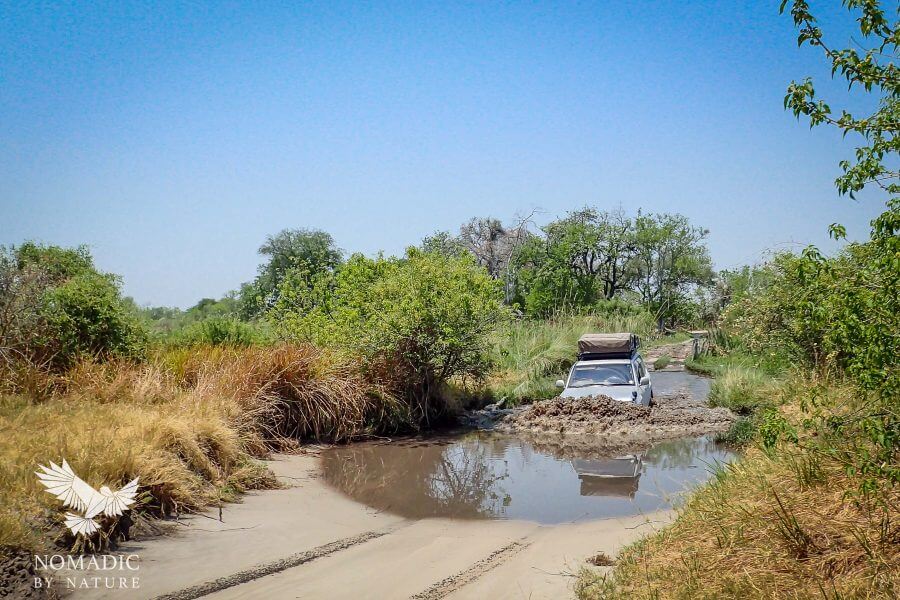 Travel Tips for Self-Driving Kasane to Maun • Nomadic by Nature